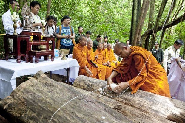 Sandalwood tree cutting ceremony held for royal coffin