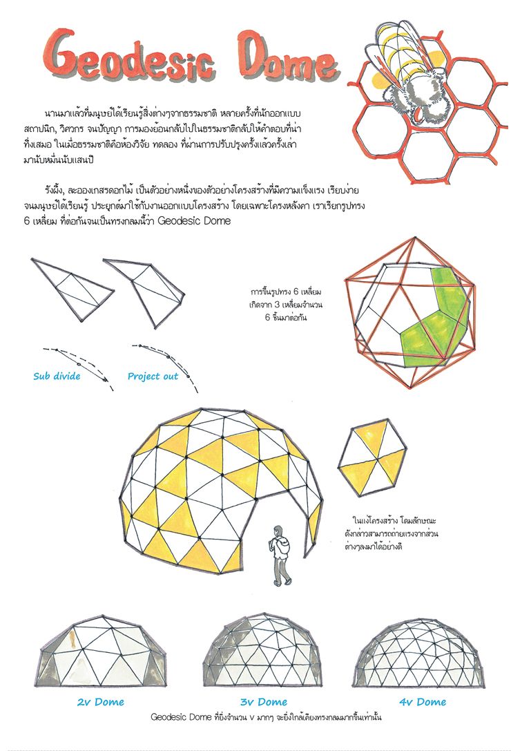 Geodesic Dome