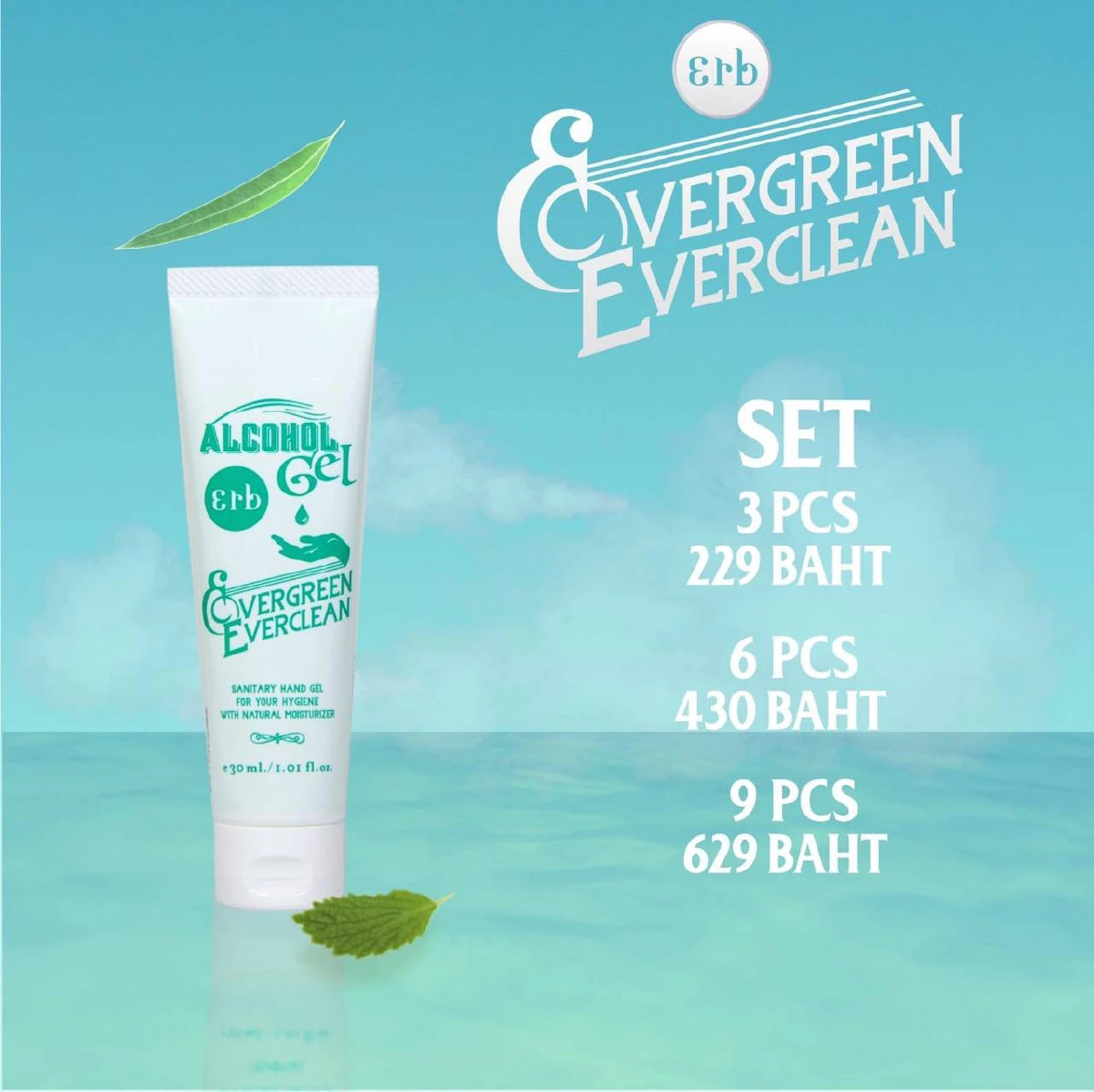 ERB EVERGREEN EVER CLEAN Aromatic Sanitizing Range with Essential Oil ...