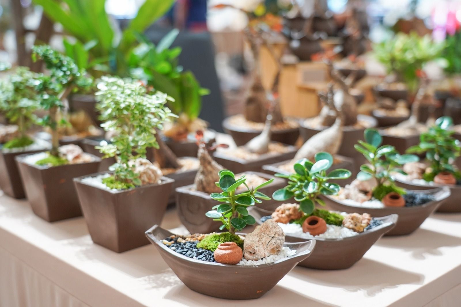 ไอคอนสยาม จัดงาน "ICONSIAM Green Garden Market" ตลาดต้นไม้สุดครบครันแห่งปี