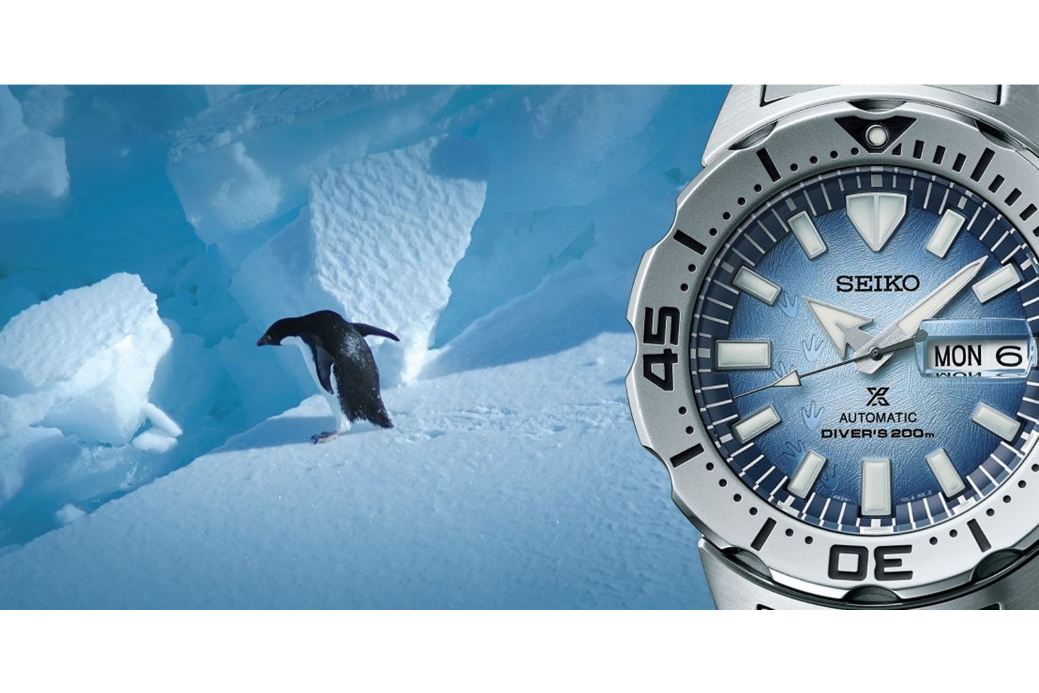 Save The Ocean #7 Special Edition Antarctica. The world’s largest ...