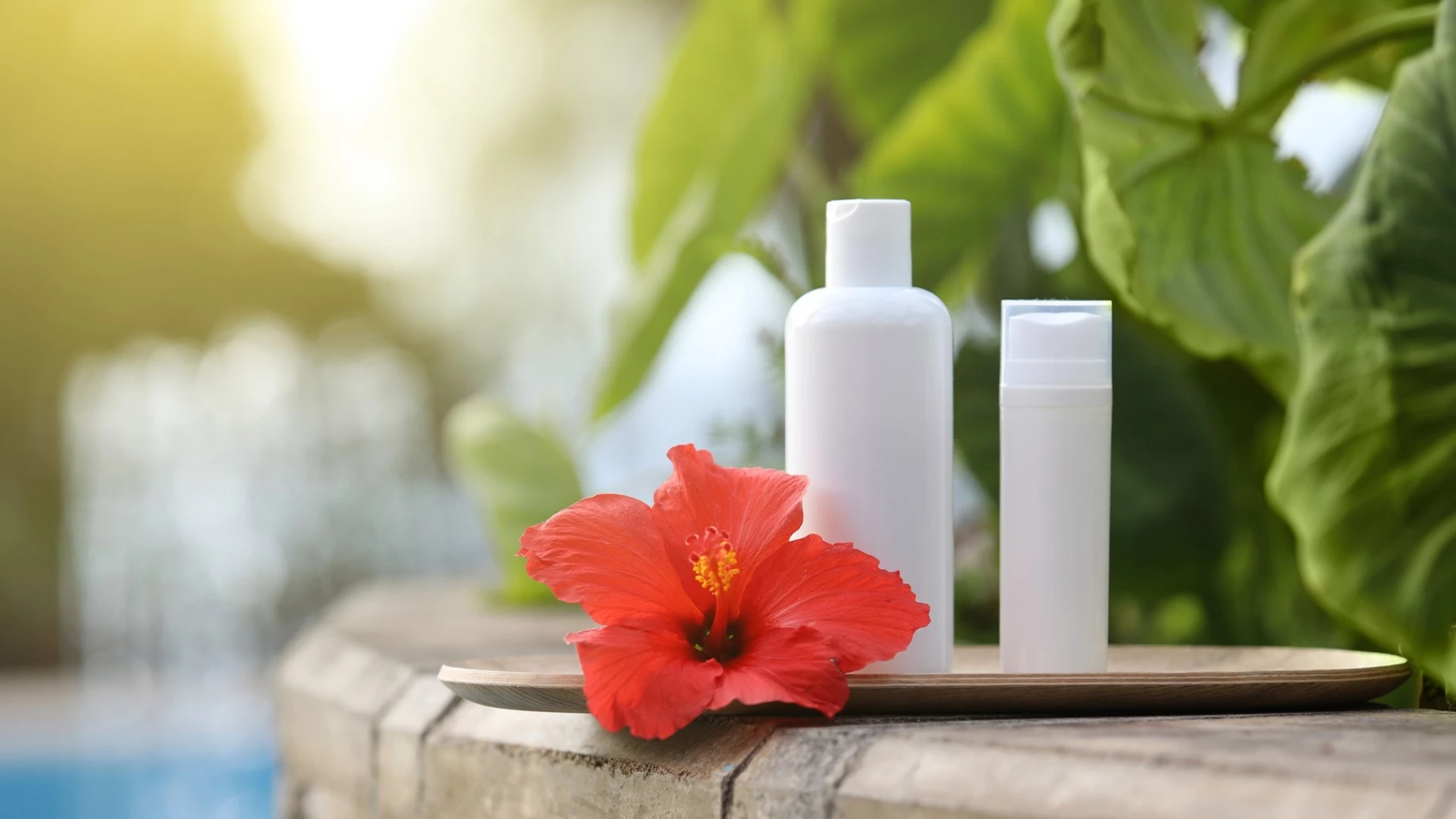 Green Cosmetics: สู่ผลิตภัณฑ์เครื่องสำอางไม่ทำร้ายโลก