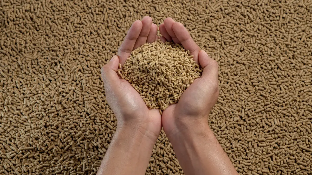 เทียบฟอร์ม 4 ยักษ์ใหญ่เจ้าสัวซีพี 'CPF-CPALL-CPAXT-TRUE' งบ Q2/68 ใครเด่นสุด