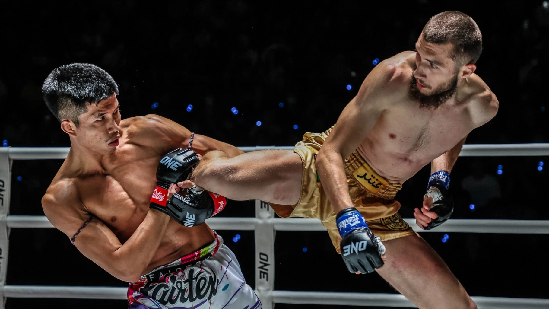 The Bad Tiger of Chanthaburi: Muay Thai Champions and Knockout ...